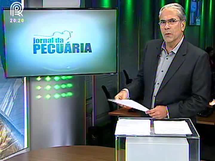 Saiba quanto pesa um bezerro e boi magro | Canal Rural