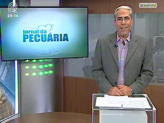 Cotações do bezerro e boi magro ganham da inflação | Canal Rural