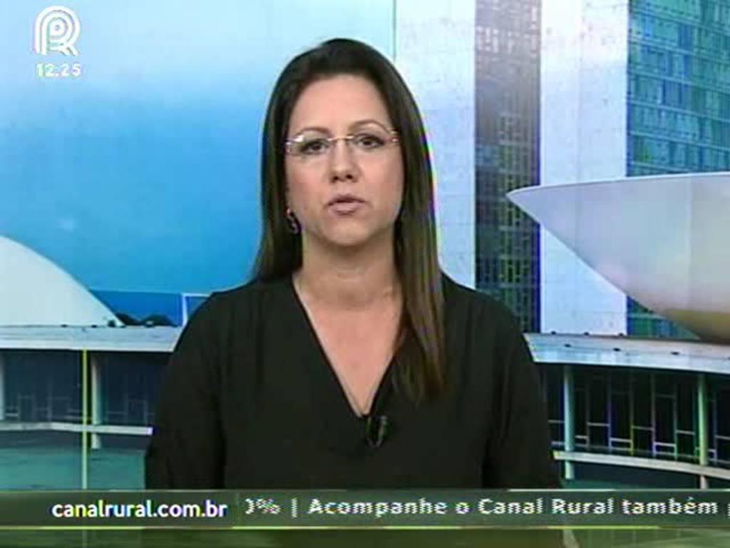 CAR: prazo deve ser estendido a todos através de MP | Canal Rural