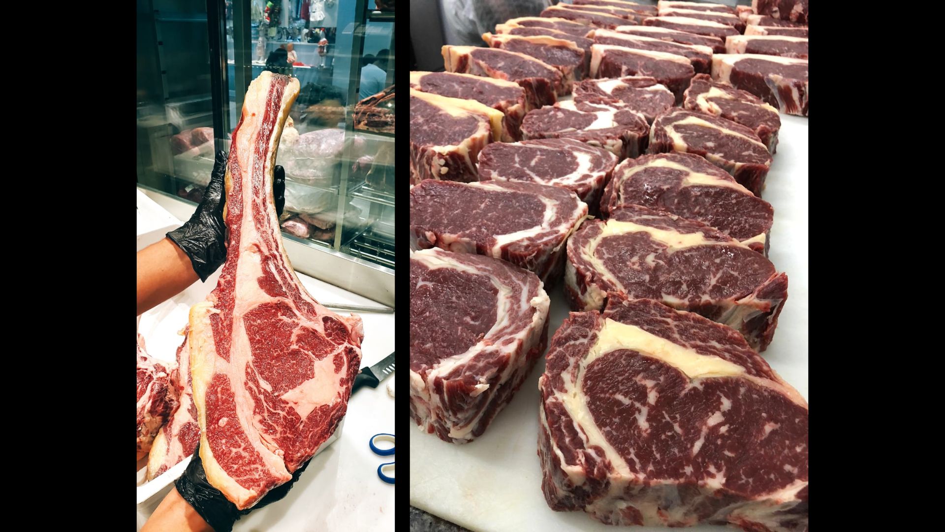 Caracu: a história da 1ª raça genuinamente brasileira que agora está ...