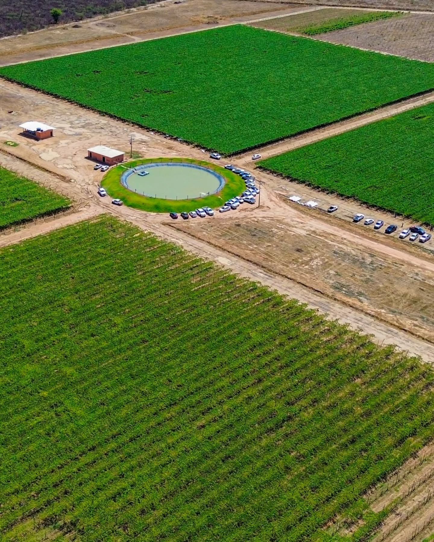 Segunda edição do Seminário de Fruticultura Irrigada acontecerá na ...