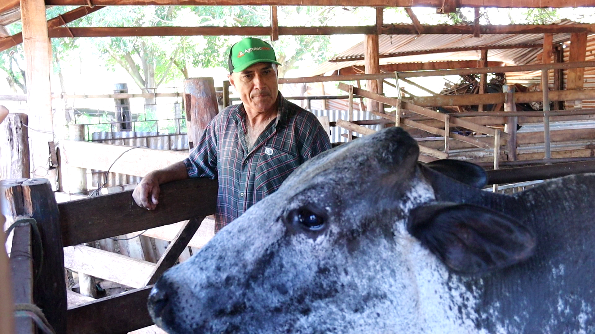 São Paulo tem programa que amplia mercado para produtores de leite