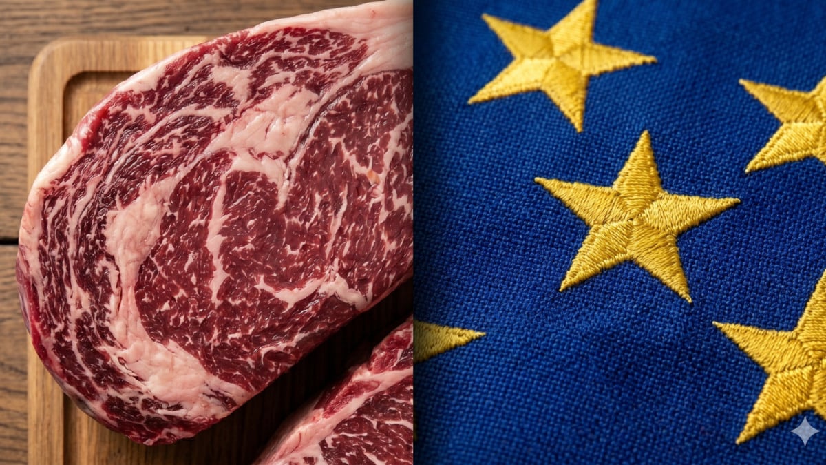 SRB manifesta preocupação com possíveis restrições da UE à proteína ...