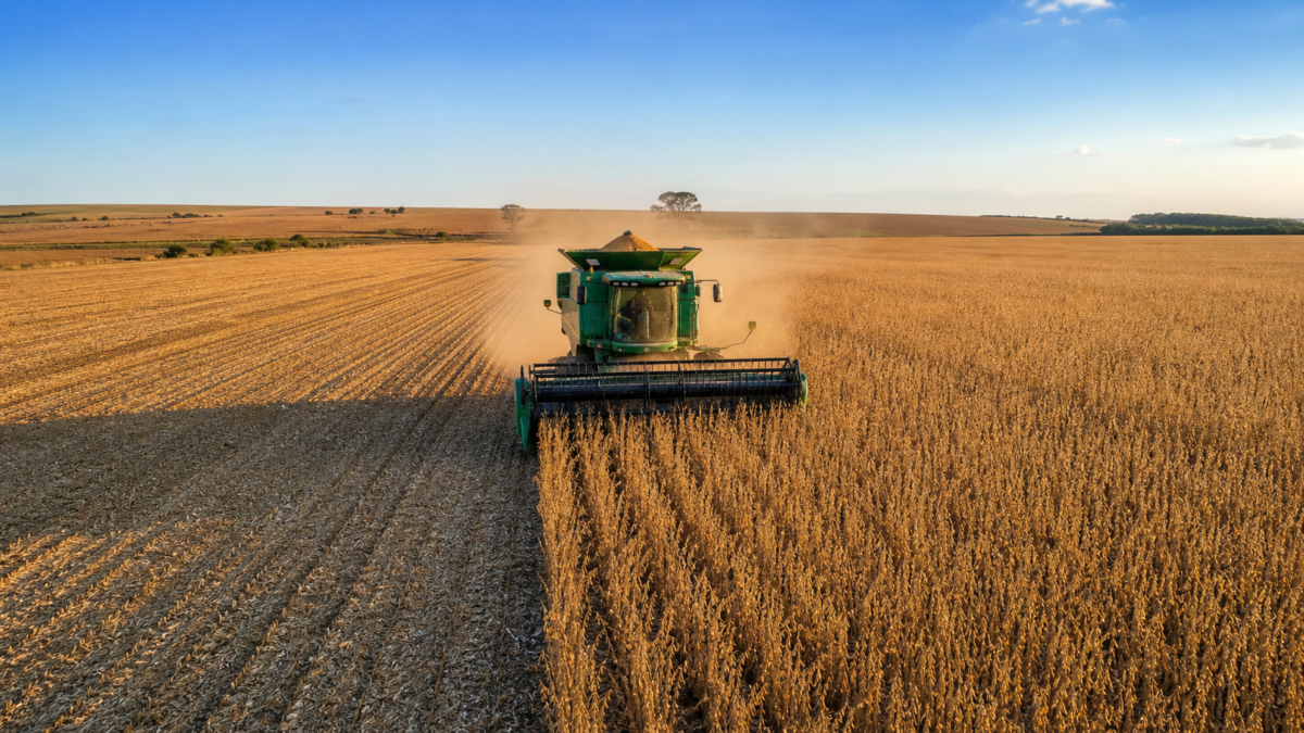 Colheita de soja chega a 99% no Brasil e milho safrinha começa, diz ...