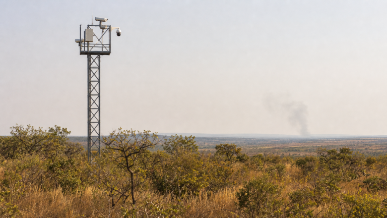 Tecnologias ampliam monitoramento de incêndios no Cerrado | Canal Rural
