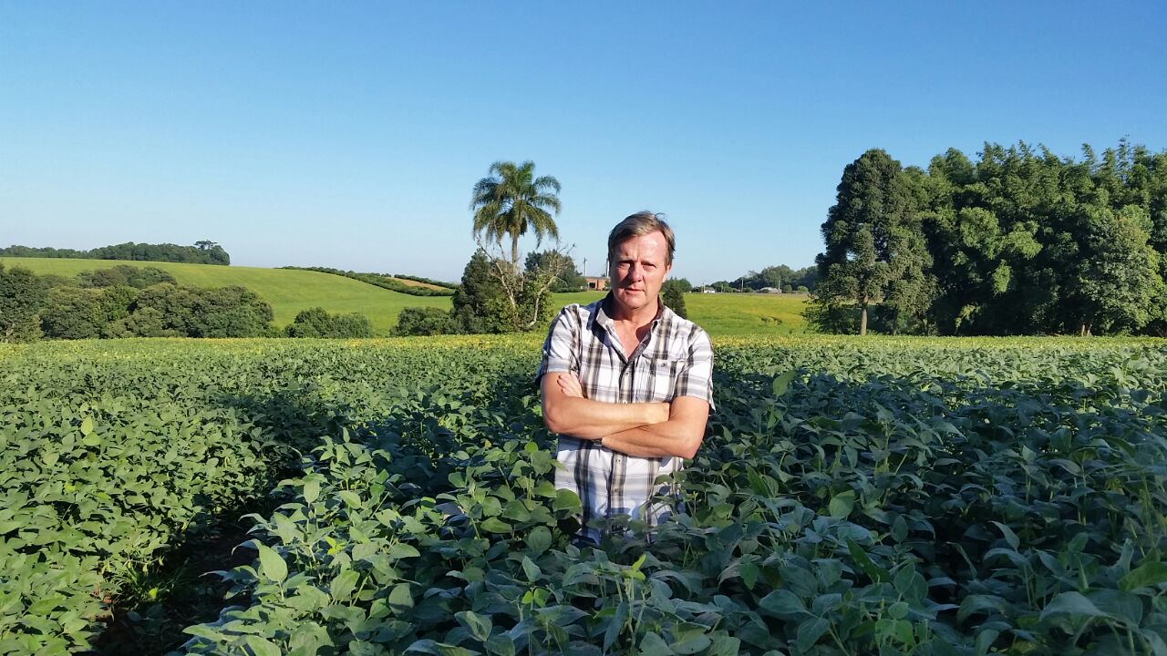 Veja como produzir 80 sacas por hectare gastando pouco | Canal Rural