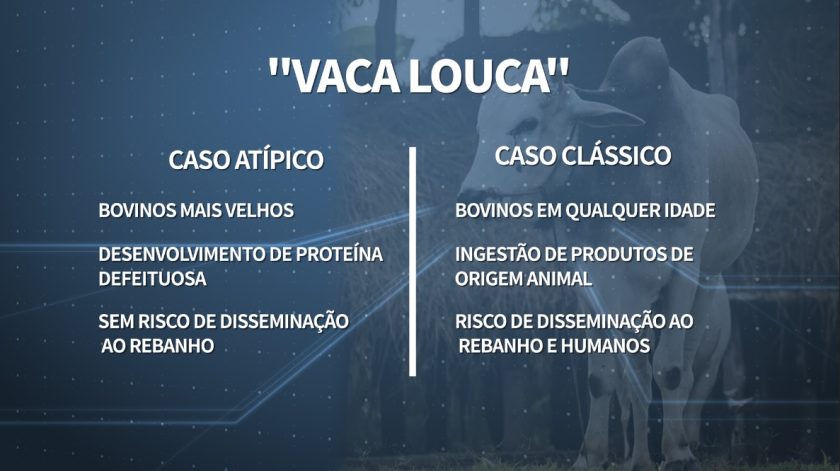 ‘Vaca louca’: entenda a diferença entre caso atípico e caso clássico