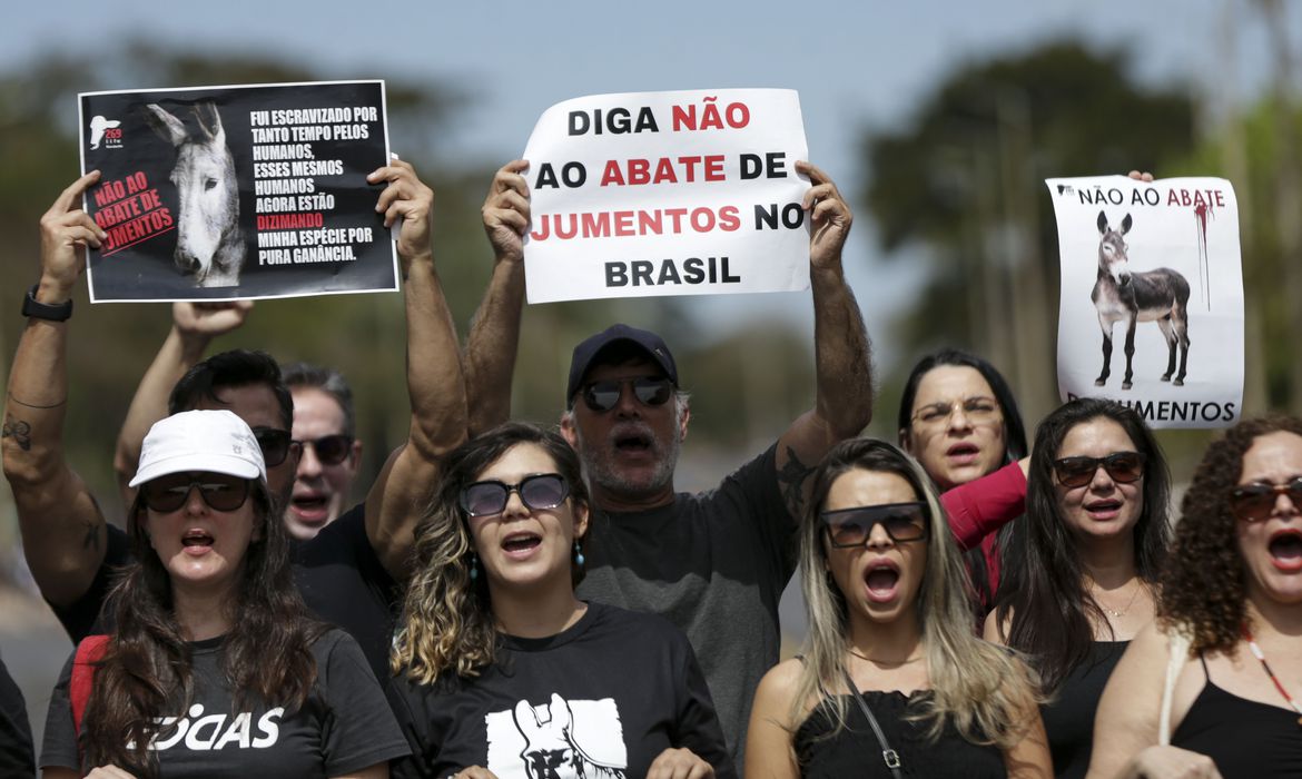 Manifestação pede fim de abate de jumentos para China